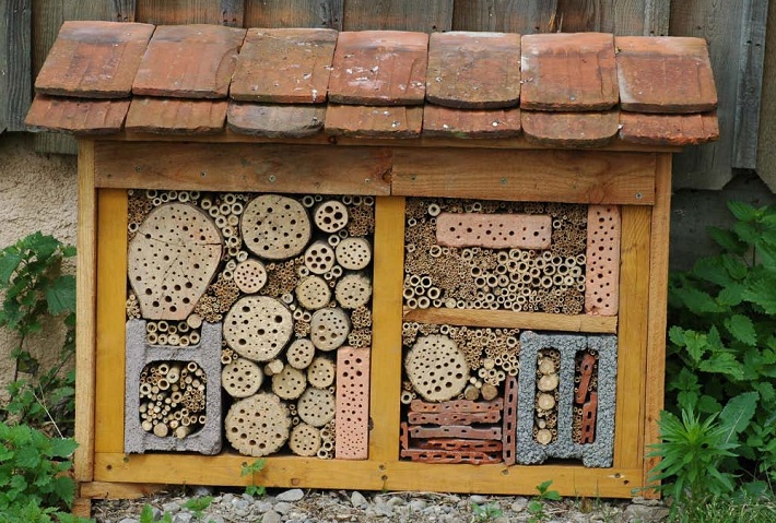 Insect Hotel • Insteading